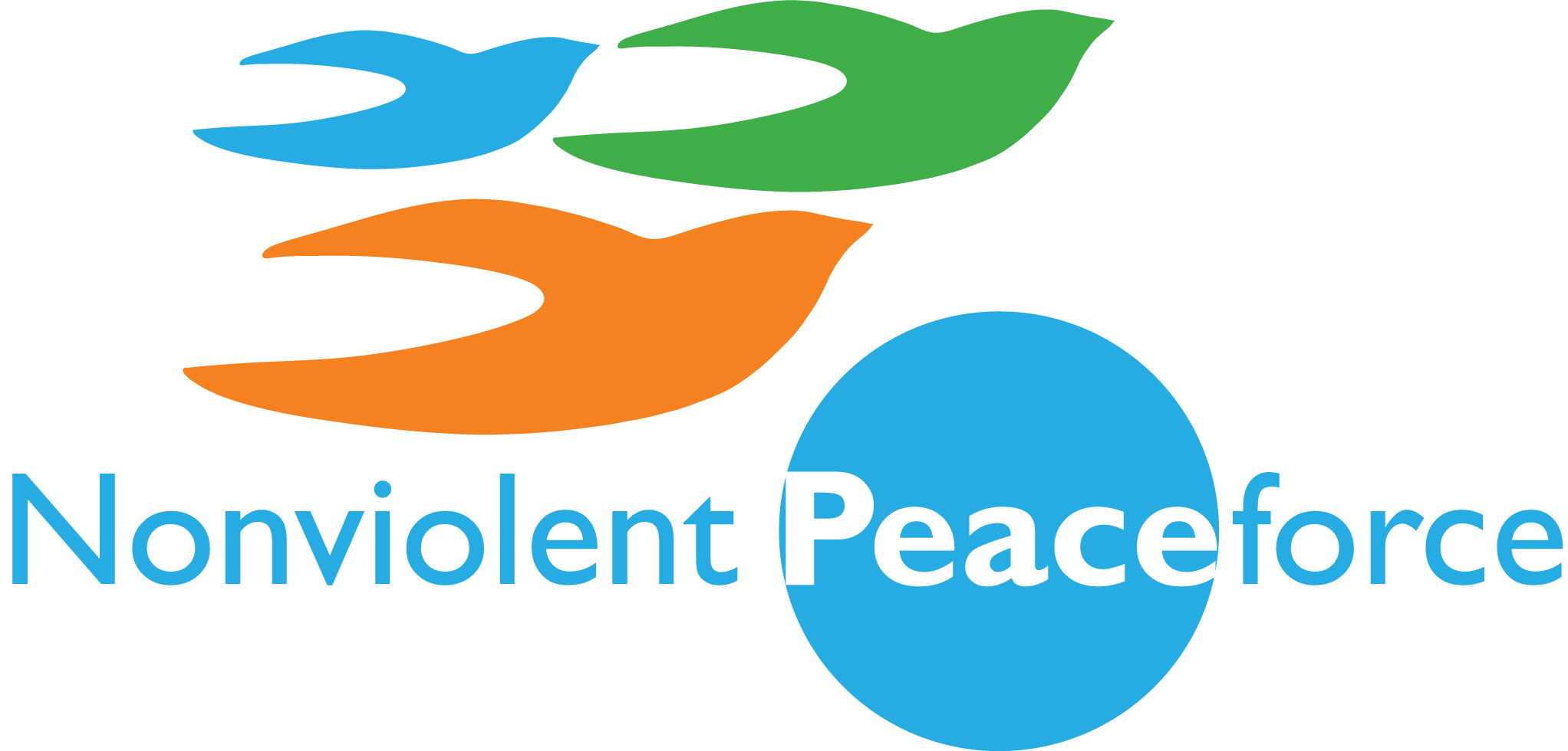 Nonviolent Peaceforce & Cure Violence's Experience in Syria - Interaction RBP